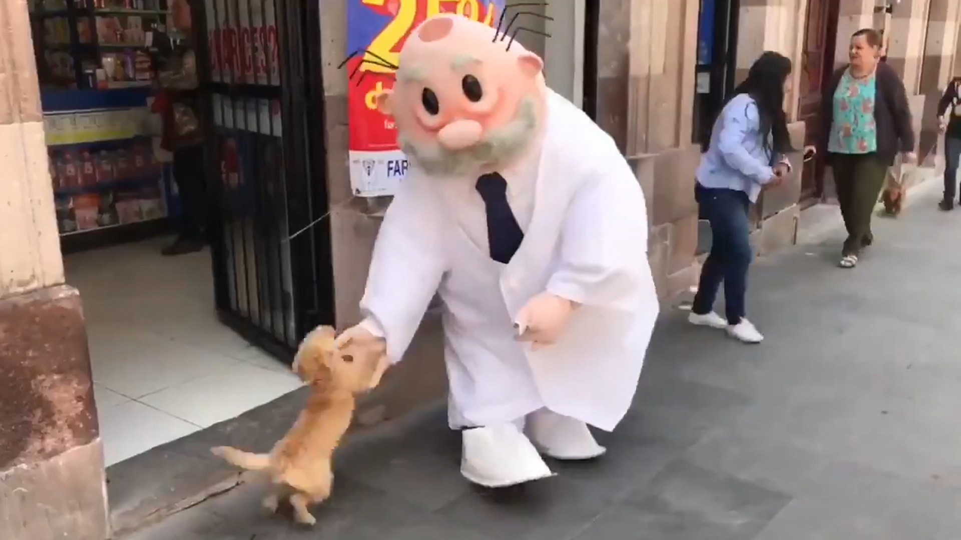 Se vuelve viral el encuentro de un perrito con el doctor simi – Ya te ...